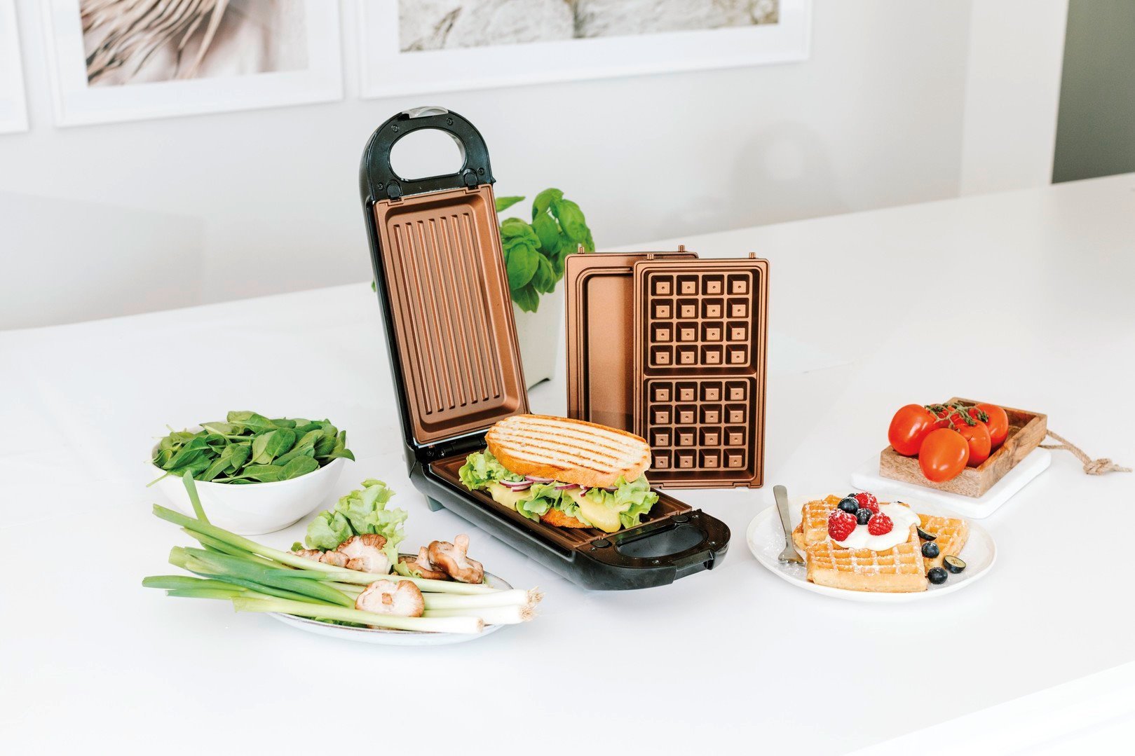 Livington Flip Switch multifunkční gril (M21333) | TSBOHEMIA.CZ