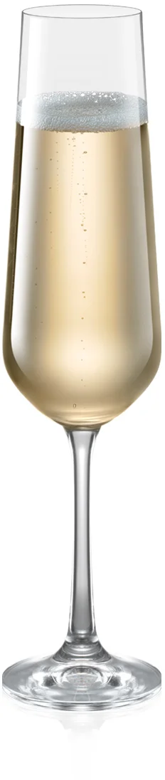 Tescoma Sklenice na šampaňské GIORGIO 200 ml, 6 ks (695916.00 ...